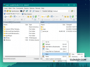 How To Make A Minecraft Server? Cloudzy