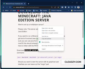 How To Make A Minecraft Server? Cloudzy
