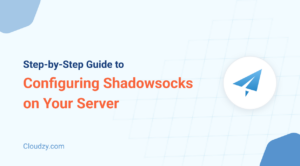 Step-by-Step Guide To Shadowsocks Configuration