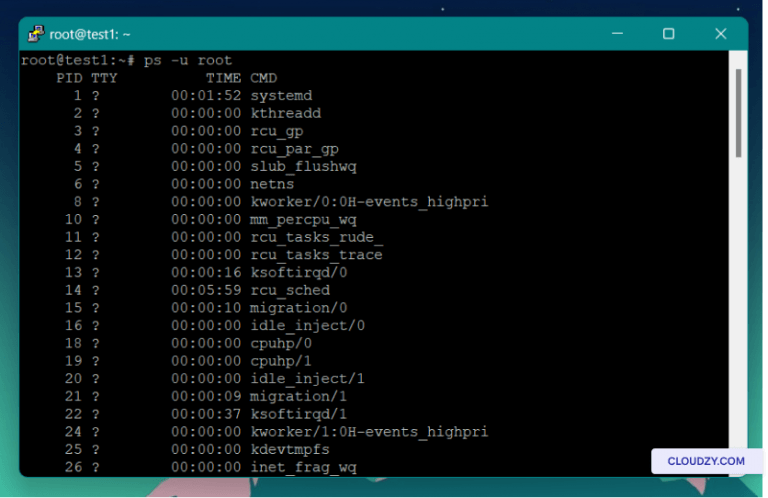 Mastering Process Management - Linux Ps Aux Command