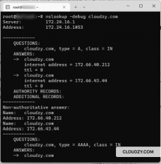 NsLookup Commands In Windows And Linux: A DNS Guide