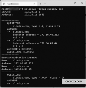 NsLookup Commands In Windows And Linux: A DNS Guide