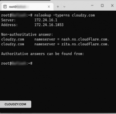NsLookup Commands In Windows And Linux: A DNS Guide