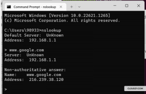 NsLookup Commands in Windows and Linux: A DNS Guide