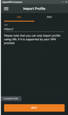 Install OpenVPN On VPS - OpenVPN Client Setup 🔑