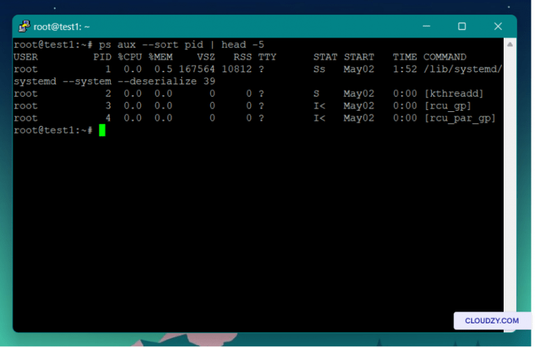 Mastering Process Management Linux Ps Aux Command