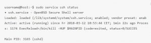 How To Use SSH To Connect To A Remote Server In Linux?[2023 Edition]