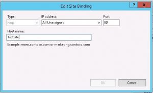 Hosting Multiple Websites On A Single Server (Apache & IIS)🌐 - Cloudzy